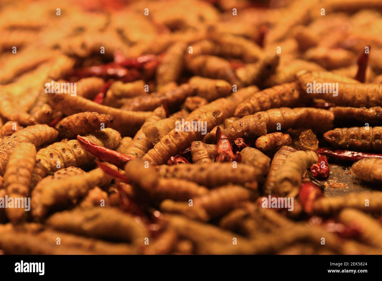 Deep fried insects are sold at a night market in Nanning city, south ...