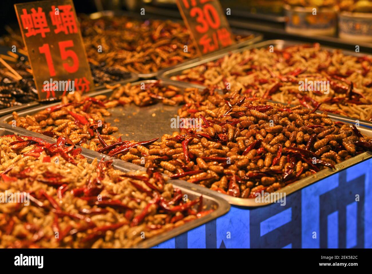 Deep fried cicada pupa is sold at 15 yuan per bowl at a night market in ...