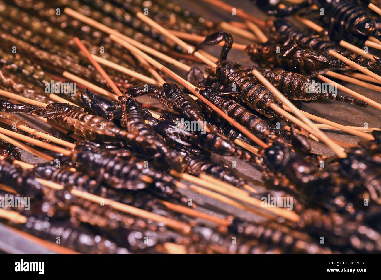Deep fried insects are sold at a night market in Nanning city, south ...