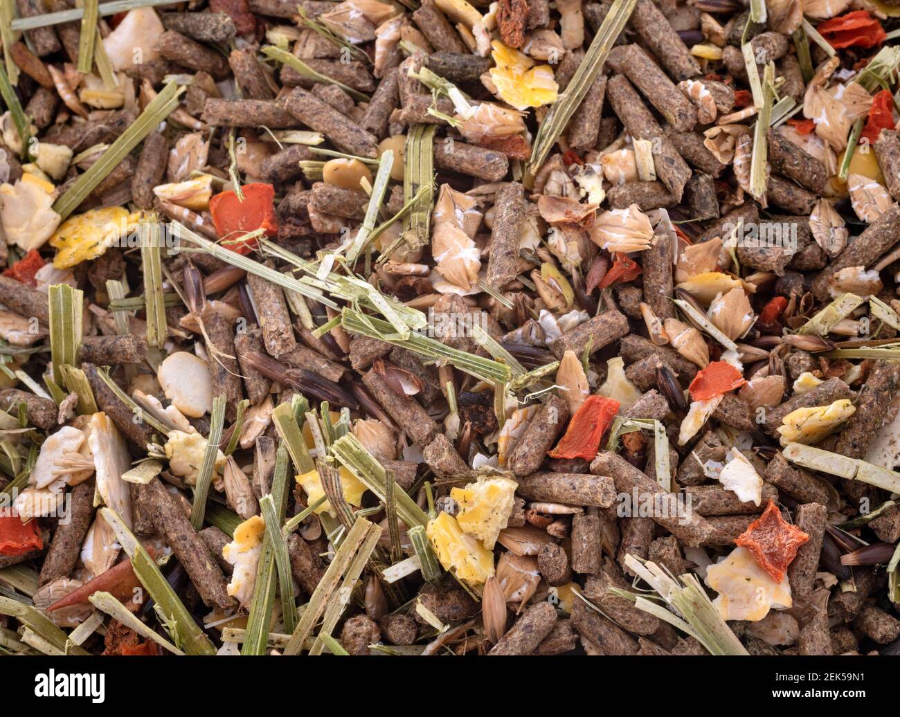 food for horse in front of white background Stock Photo - Alamy