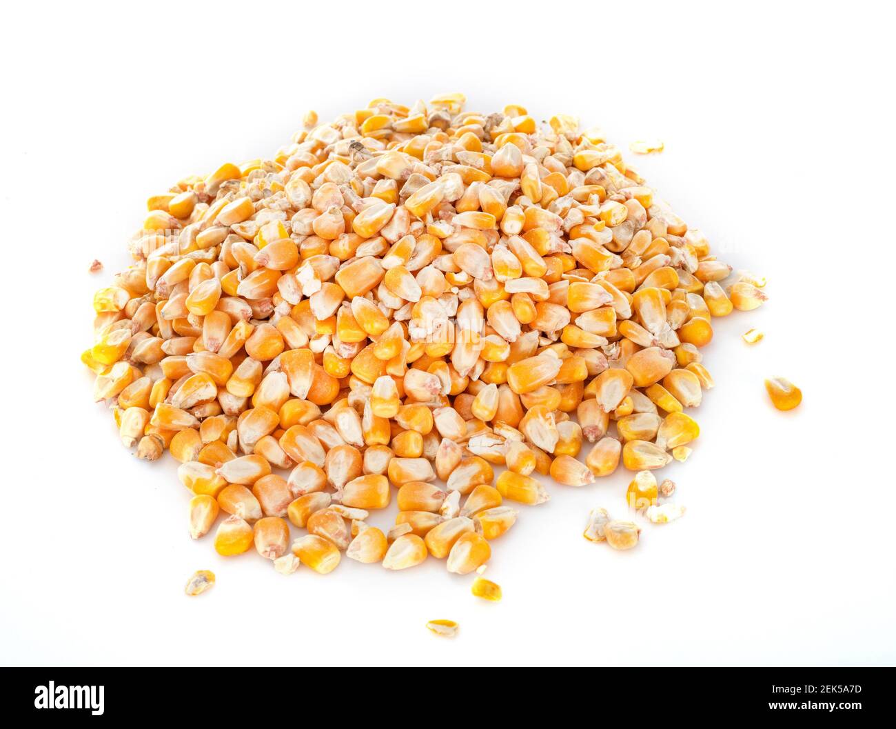 dried corn in front of white background Stock Photo - Alamy