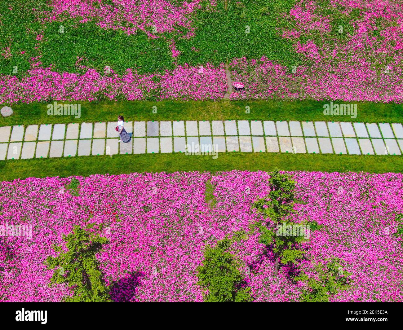 American crop artist and painter Stan Herd brings his unique agri-glyph ...