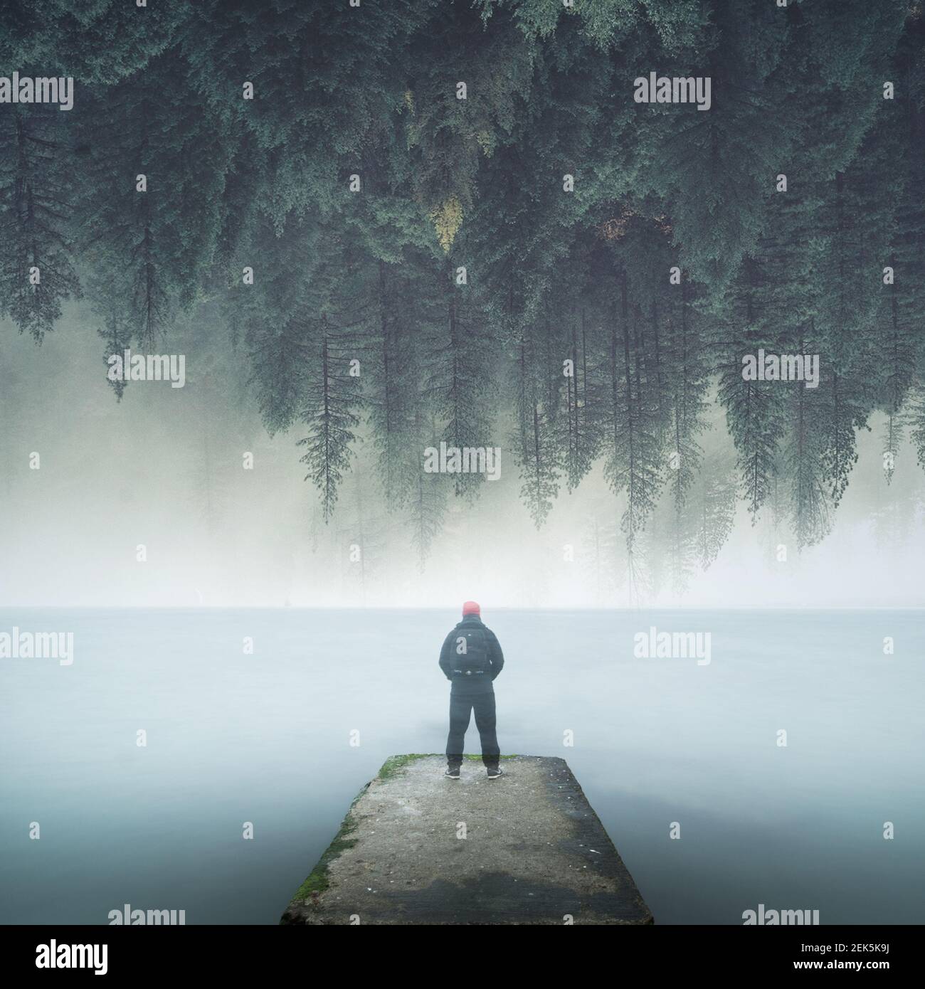 Back view of a male standing on a pier with a forest upside down over ... Back view of a male standing on a pier with a forest upside down over ...