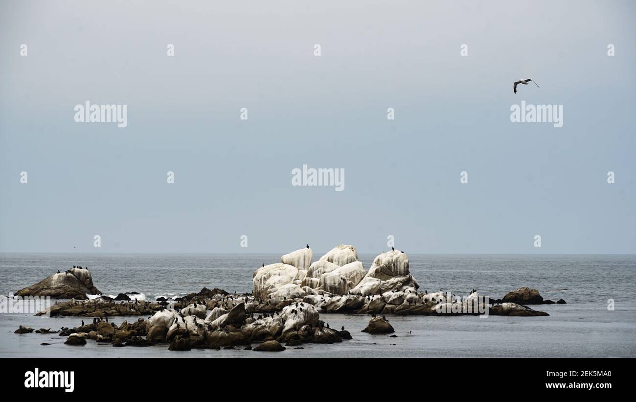 Spray formation hi-res stock photography and images - Alamy