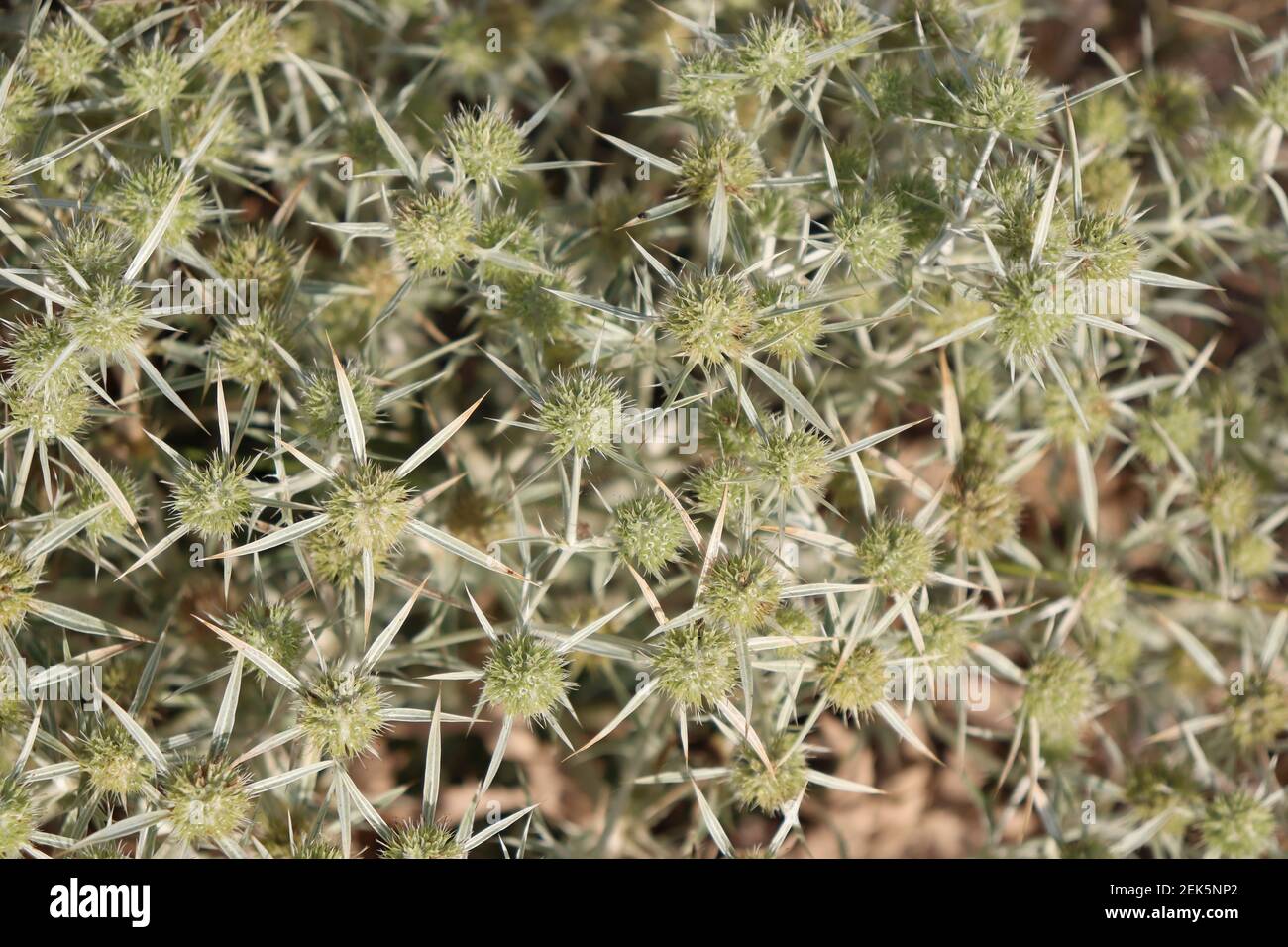Spiky mountains hi-res stock photography and images - Alamy