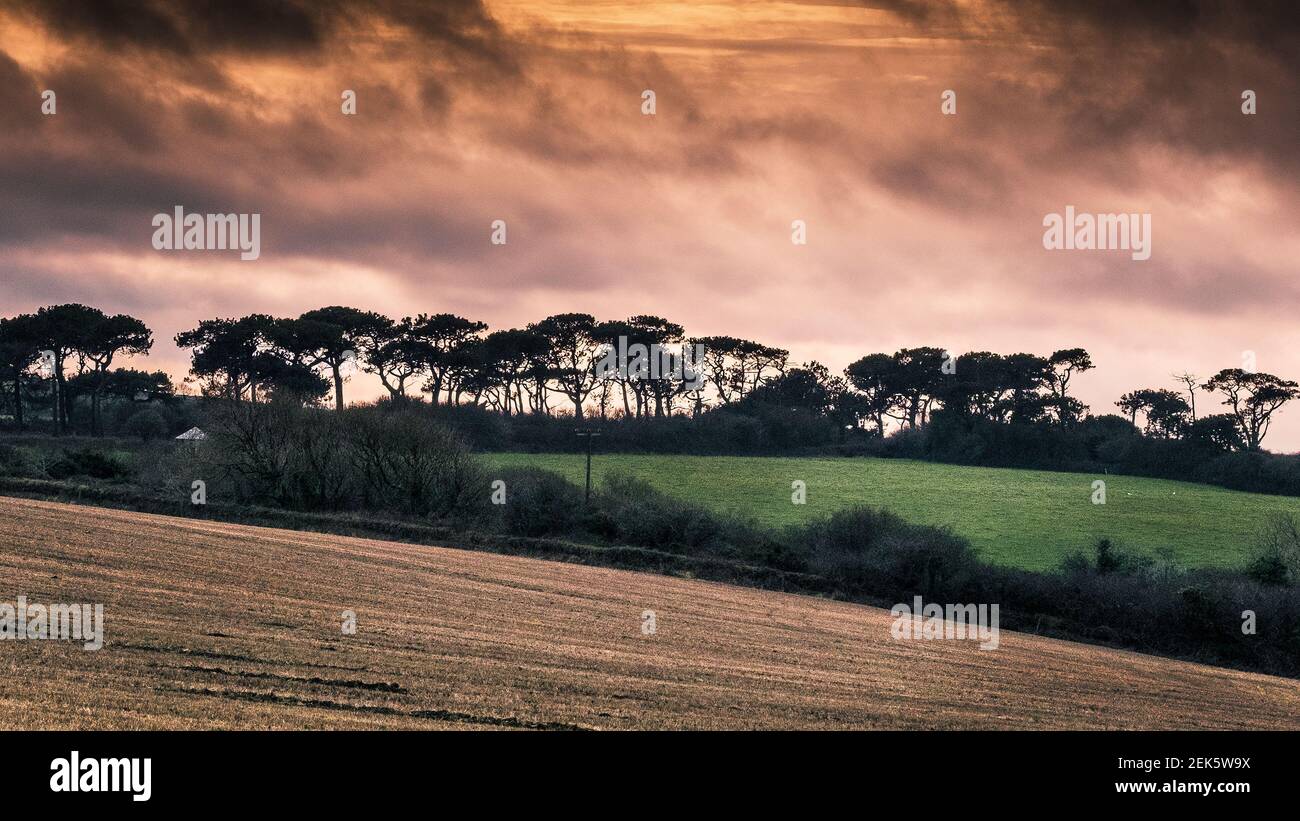 A panoramic view of a dramatic evening sky over fields in Cornwall ...