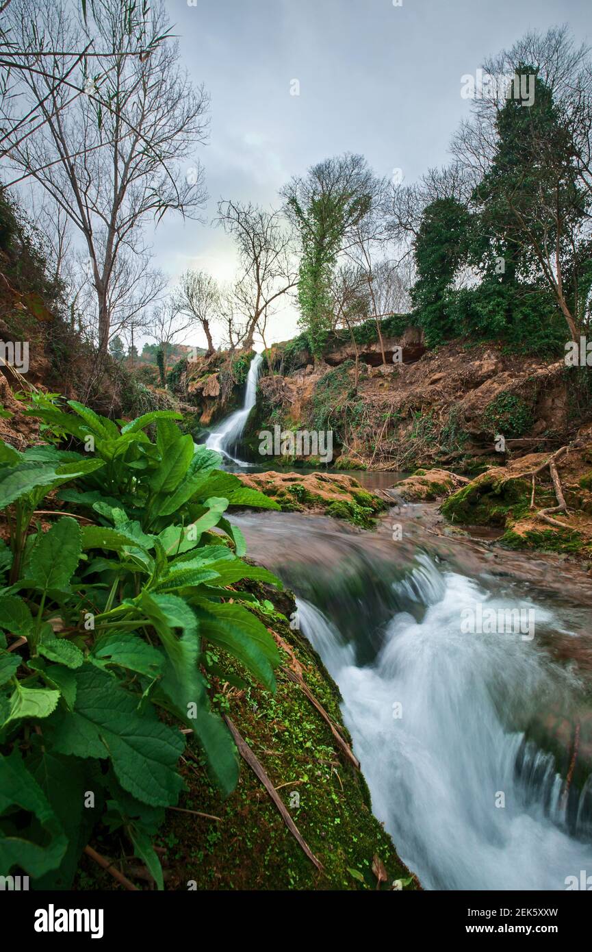 A large beautiful waterfall in a forest with blue water and trees Stock ...