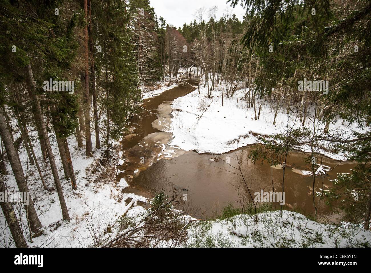 The walking trail along river Riva, Labrags, Latvia Stock Photo - Alamy