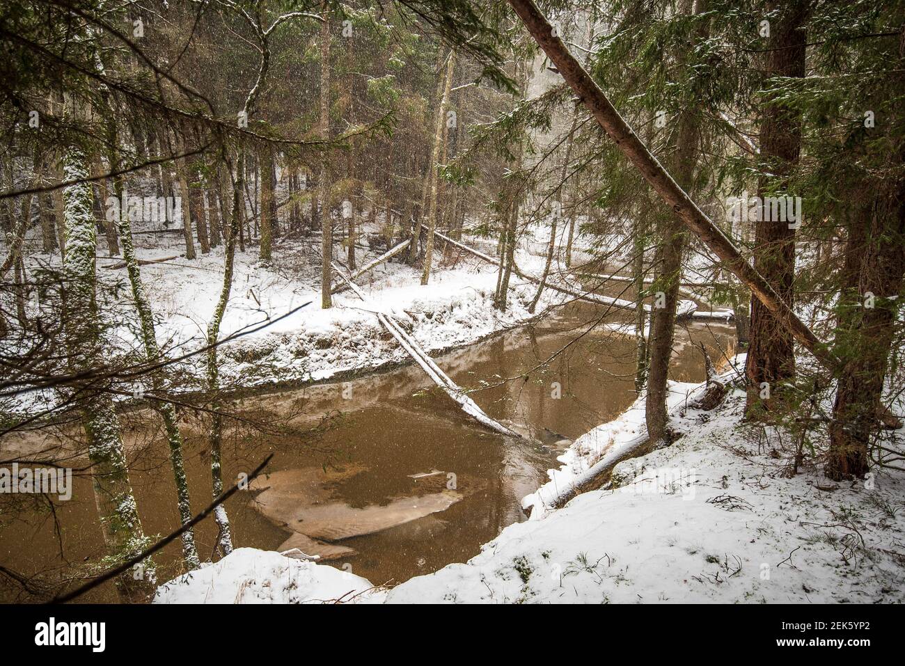 The walking trail along river Riva, Labrags, Latvia Stock Photo - Alamy