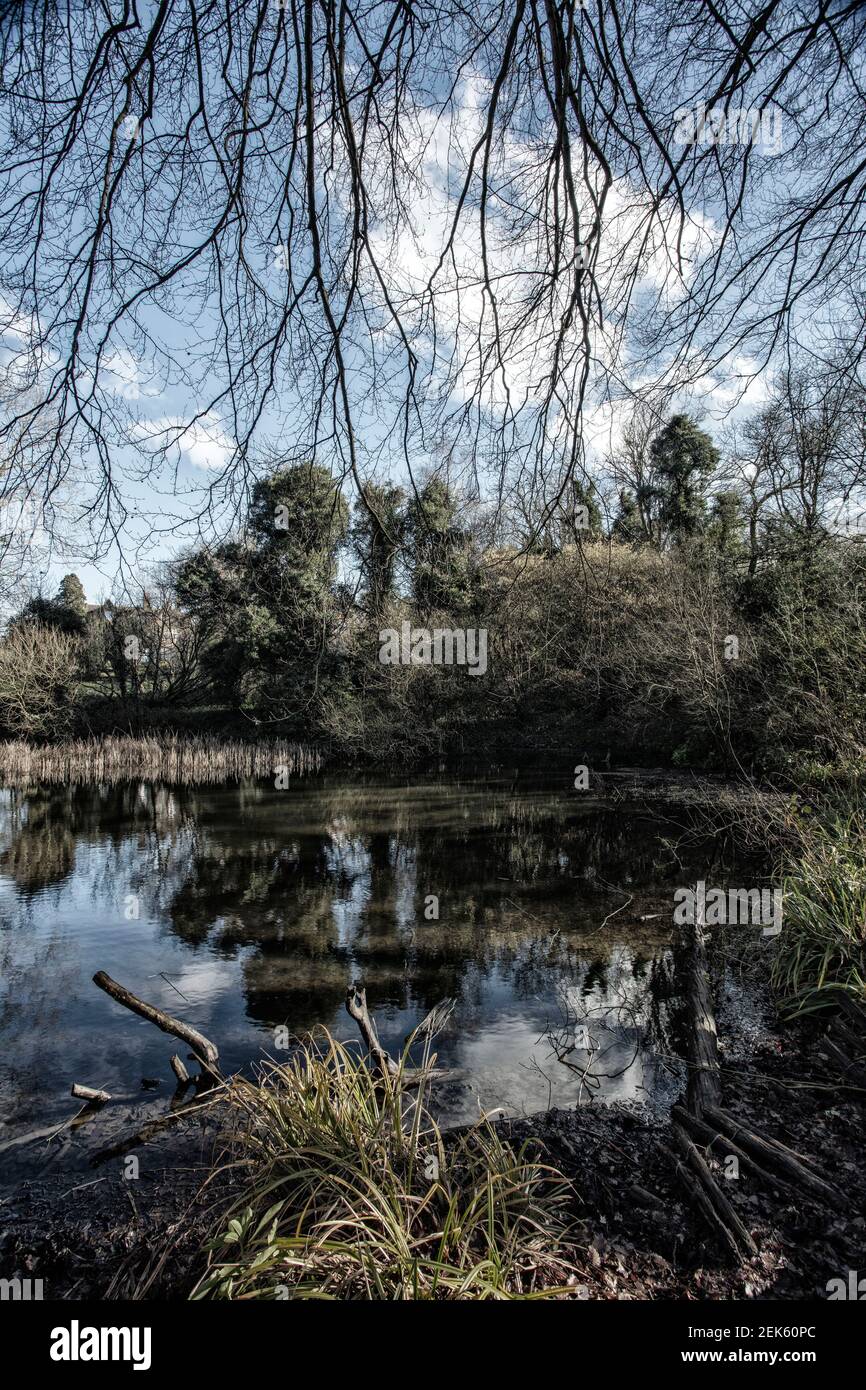 Keston Common recreation area landscape in late winter sunshine Stock ...