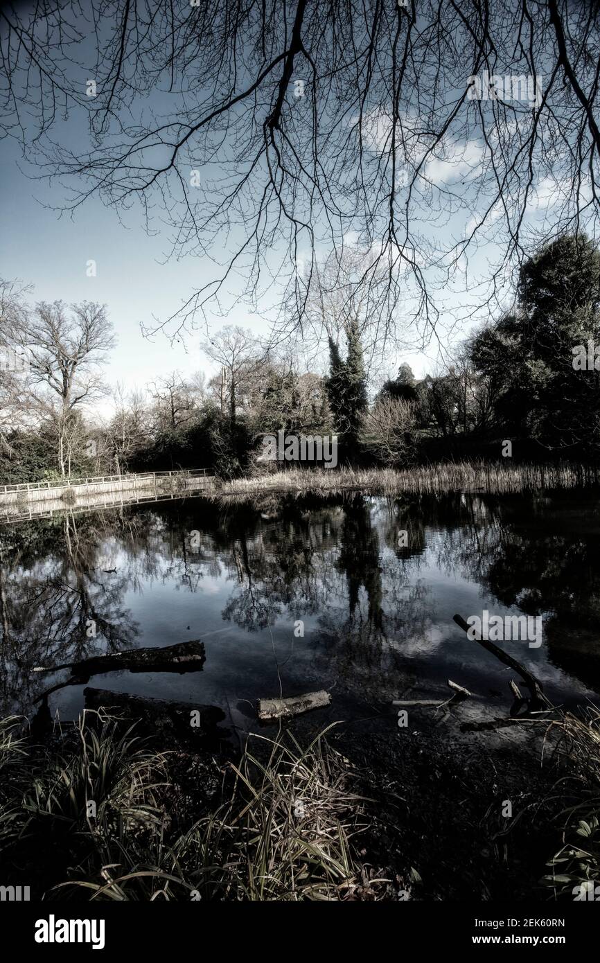 Keston Common recreation area landscape in late winter sunshine Stock ...
