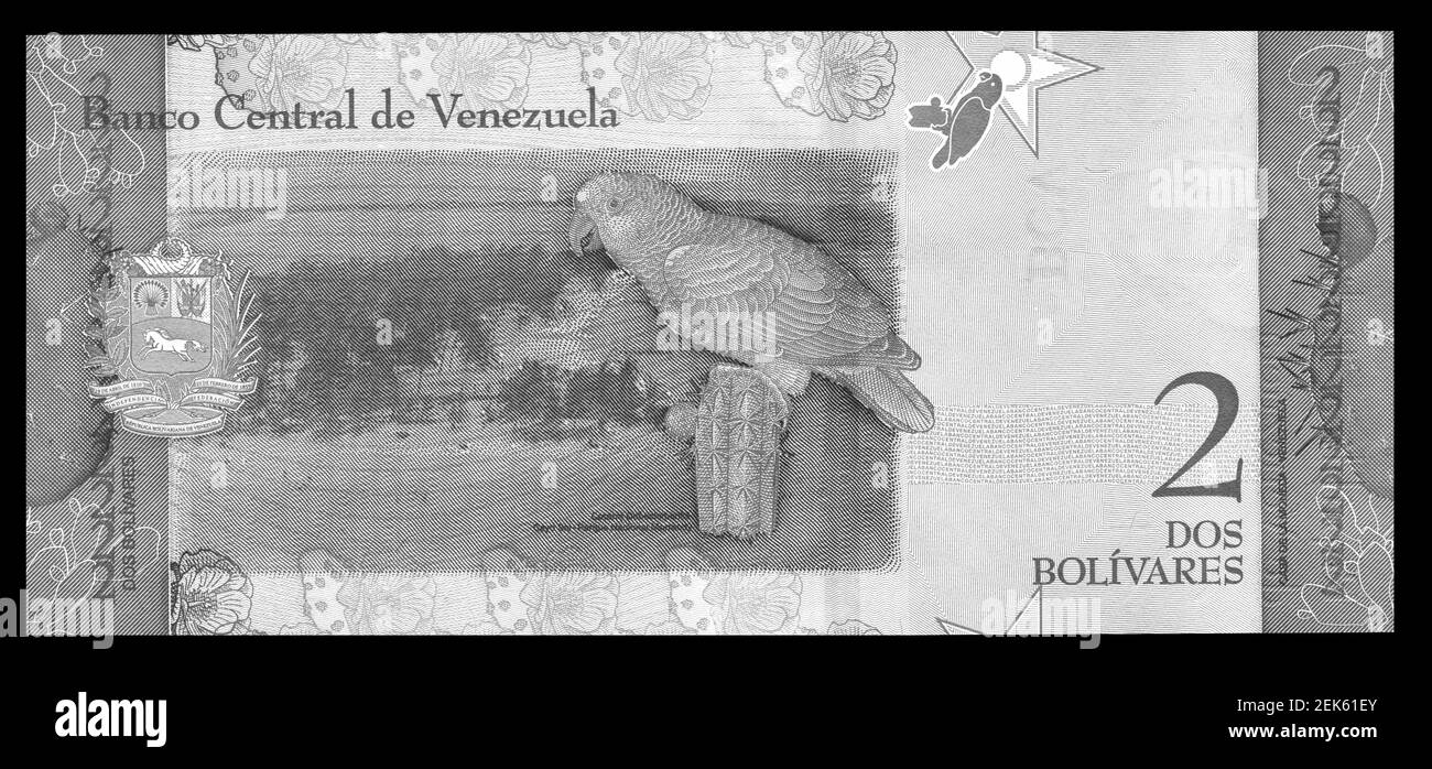 Bank note venezuela Black and White Stock Photos & Images - Alamy Bank note venezuela Black and White Stock Photos & Images - Alamy