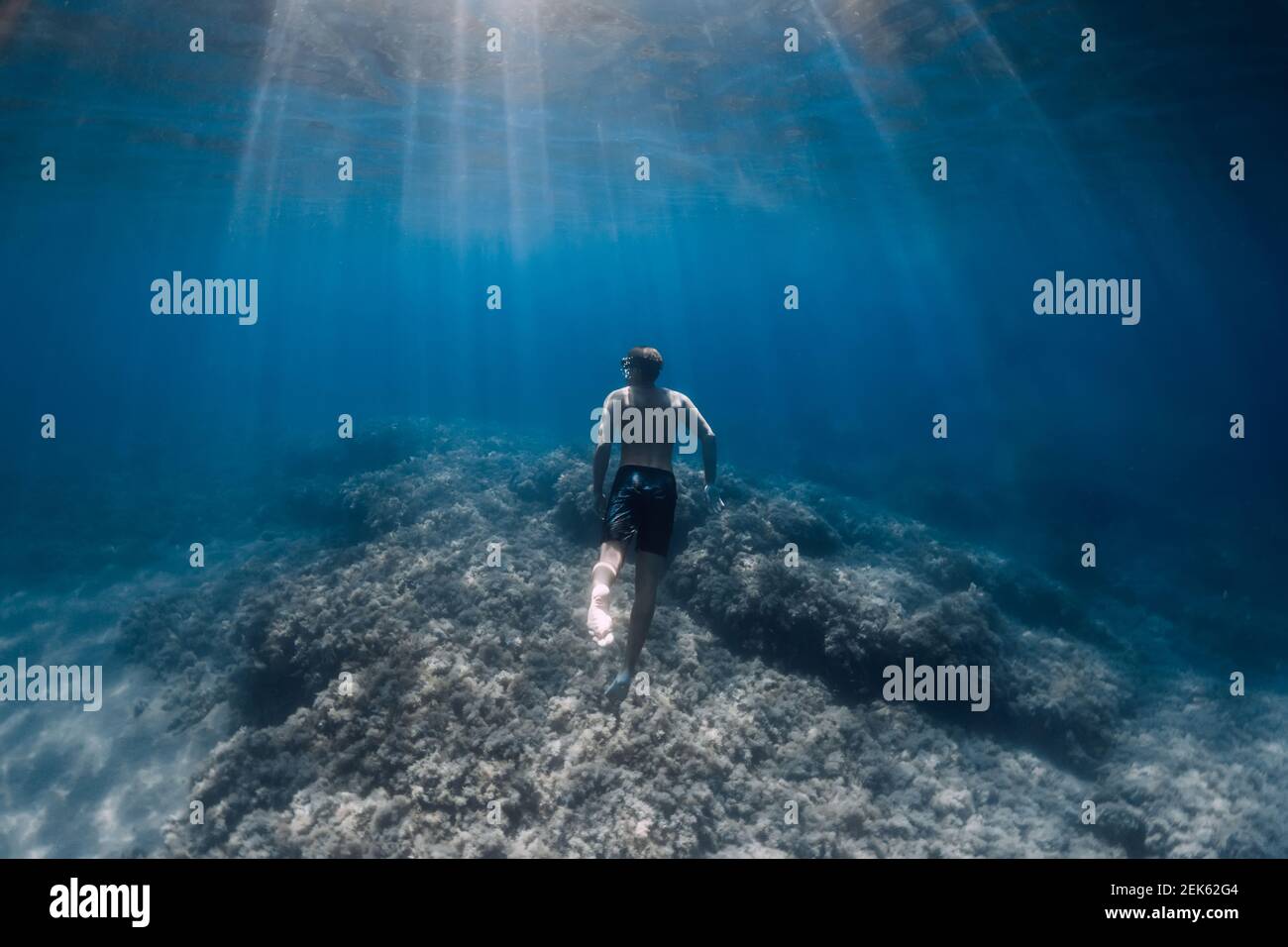 Male free diver glides underwater in blue ocean in Hawaii Stock Photo ...