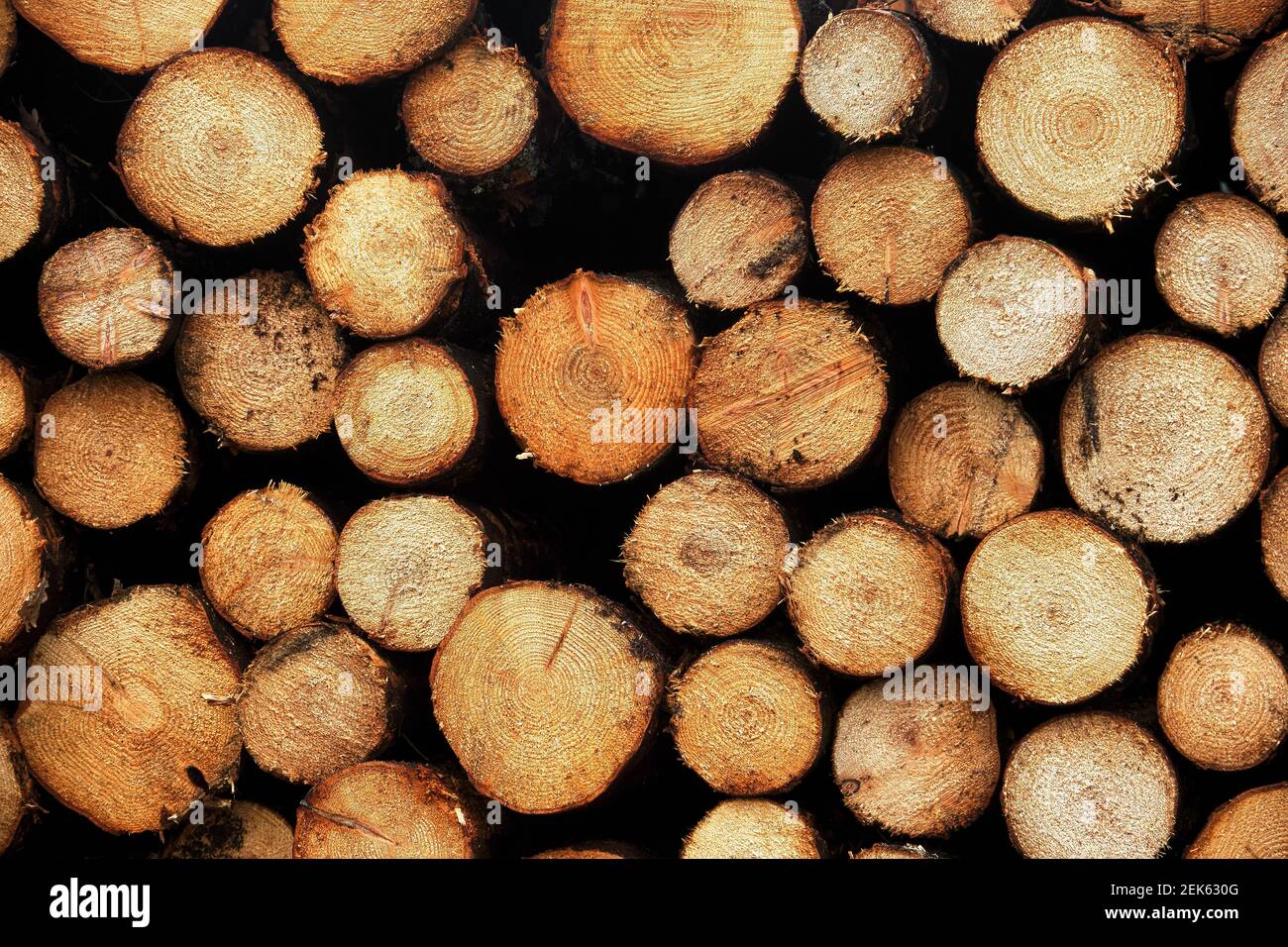 Cutted wood hi-res stock photography and images - Alamy