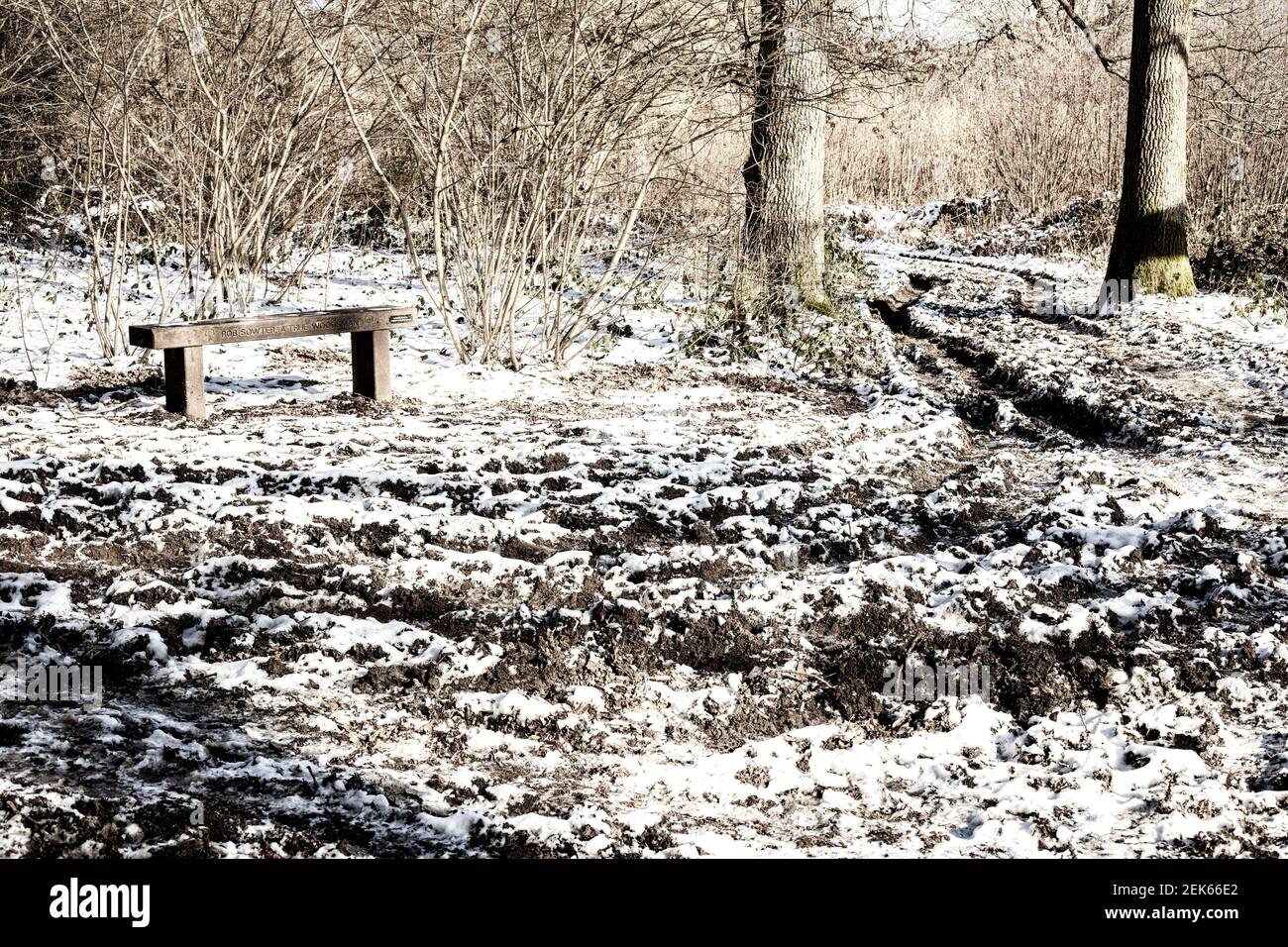 Light dusting of snow texture hi-res stock photography and images - Alamy