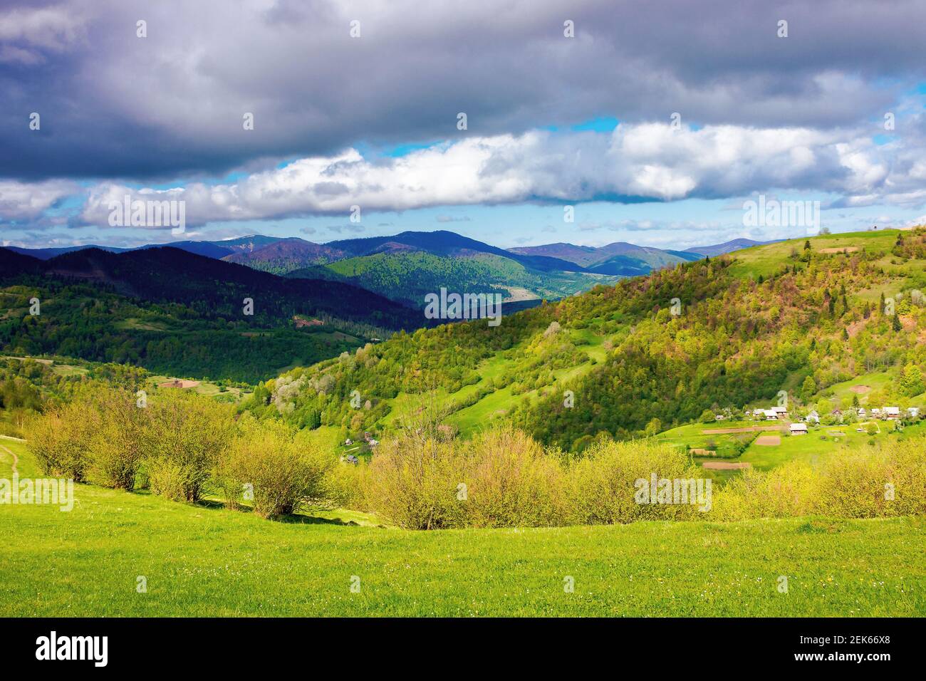 rural fields on rolling hills in springtime. borzhava mountain ridge in ...