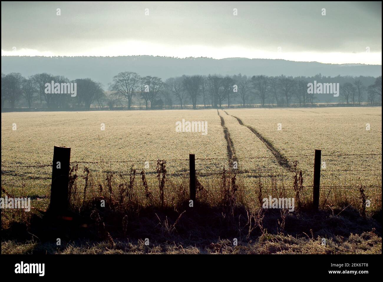 Angus trails hi-res stock photography and images - Alamy