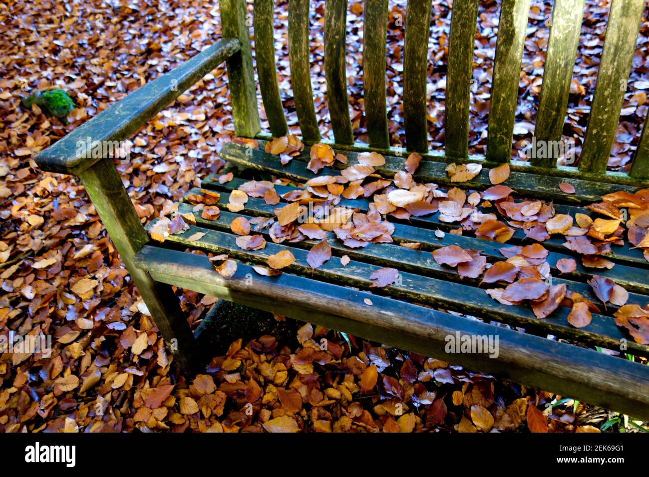 Through the Blue Door,Edzell, Angus, Scotland Stock Photo - Alamy