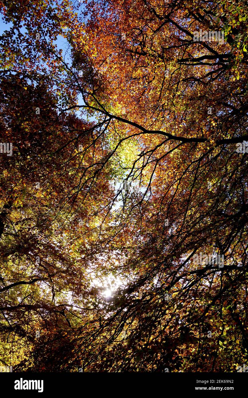 Blue door edzell scotland hi-res stock photography and images - Alamy