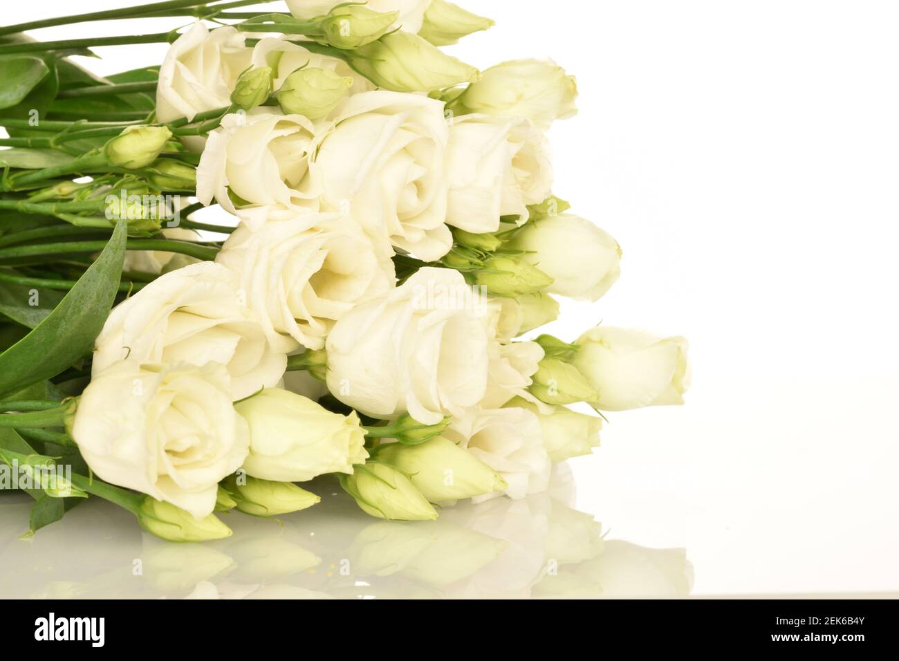Several natural white eustoma flowers on a white background Stock Photo ...