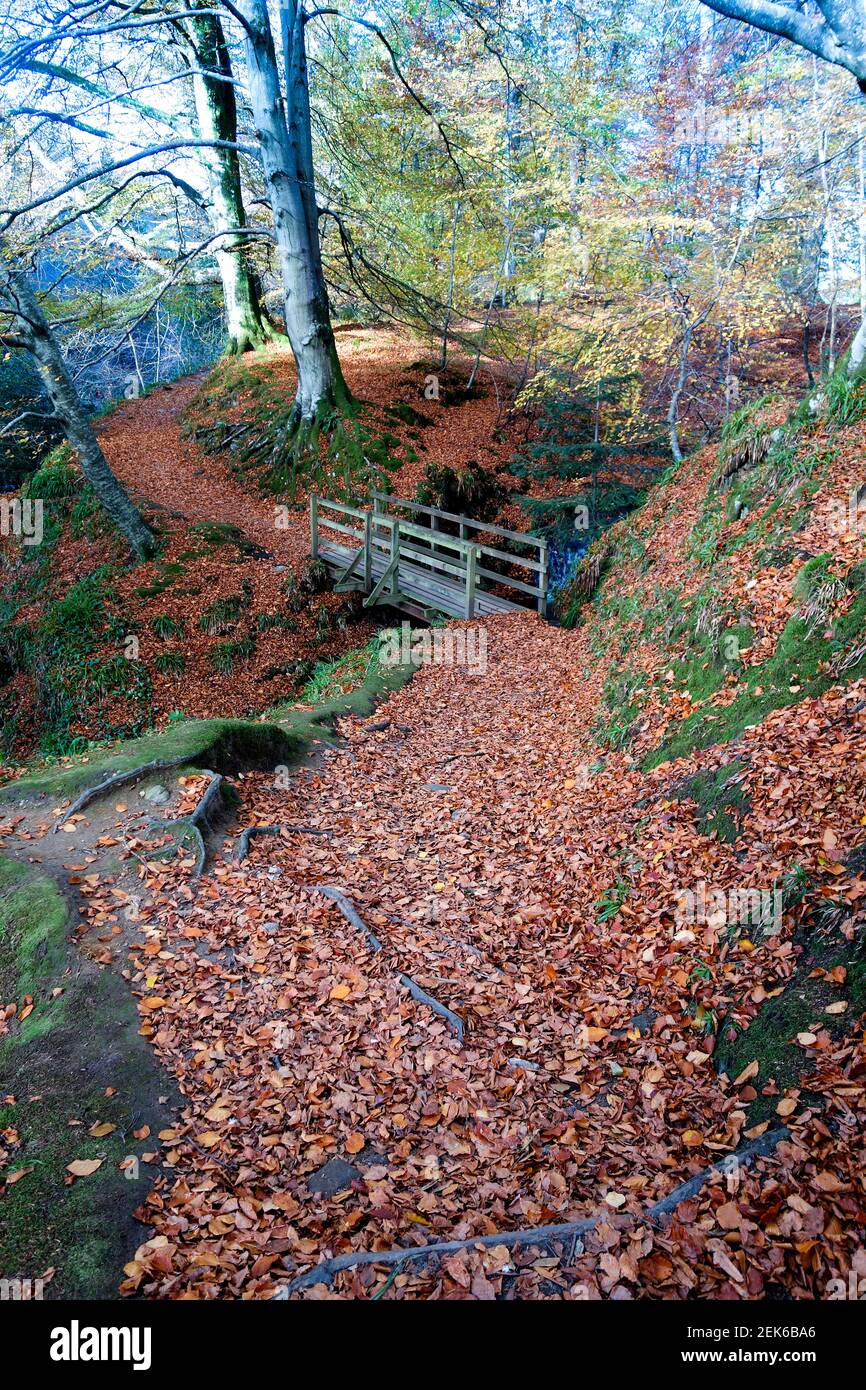 Through the Blue Door,Edzell, Angus, Scotland Stock Photo - Alamy
