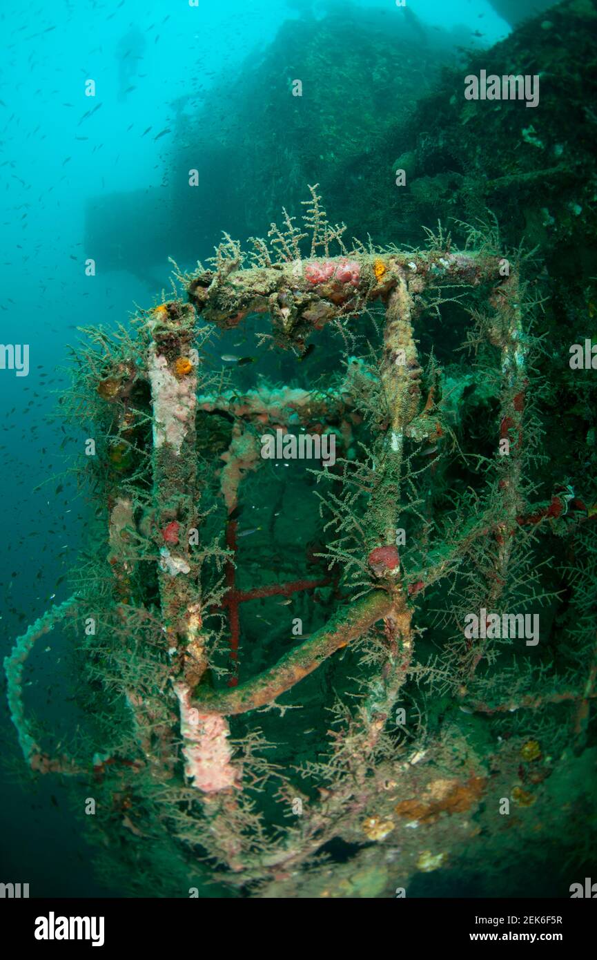Wreck railing encrusted with coral, Tanjung Nabire Dua dive site ...