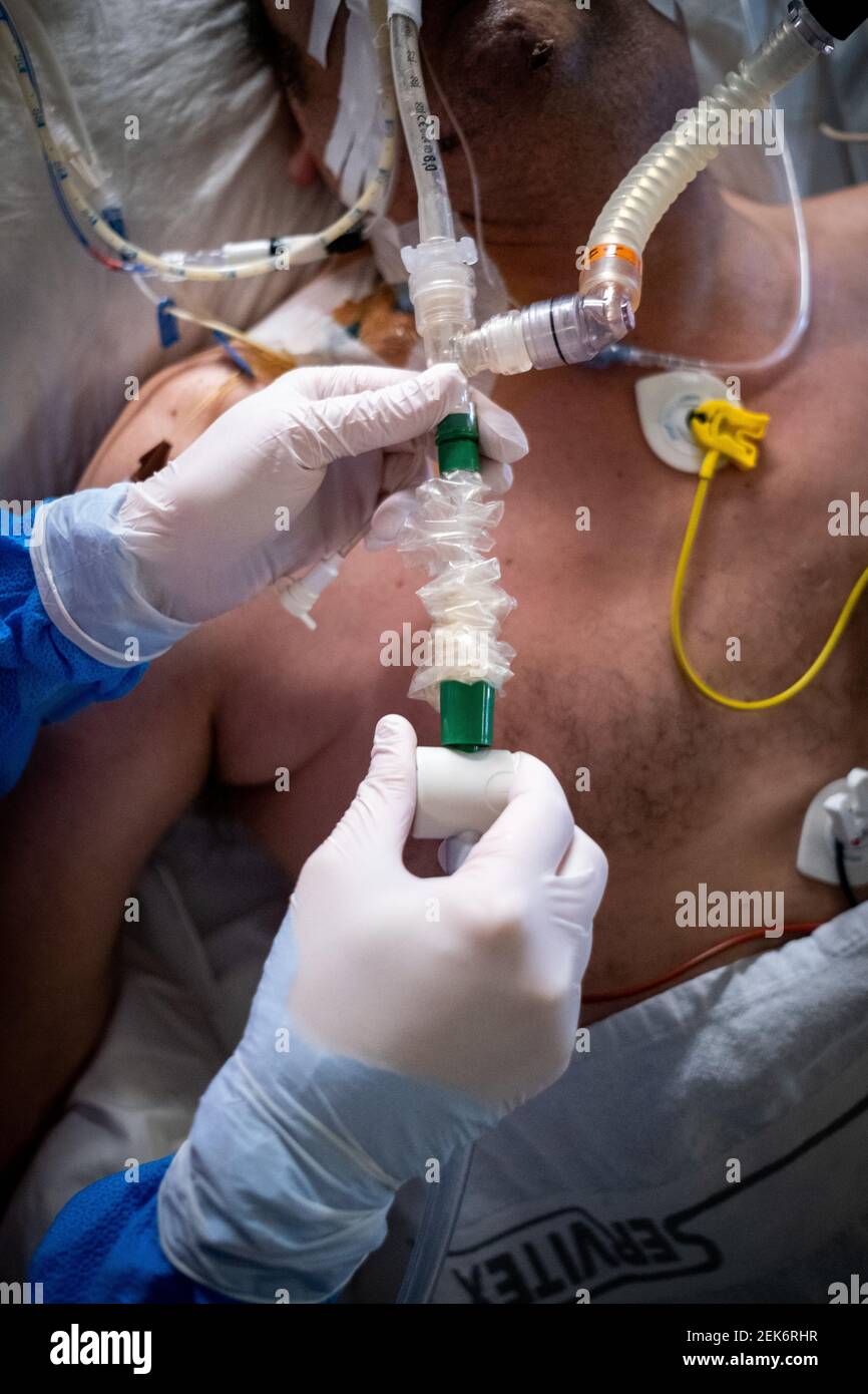 Report at the intensive care unit of the Liege hospital with patients ...