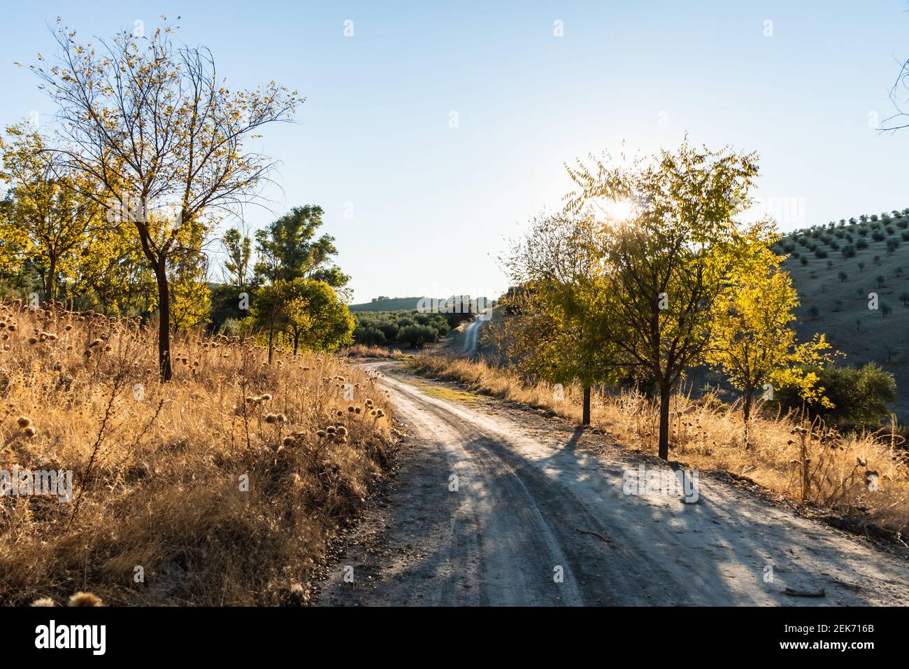 Soil Pathway in the Countryside Stock Photo - Alamy