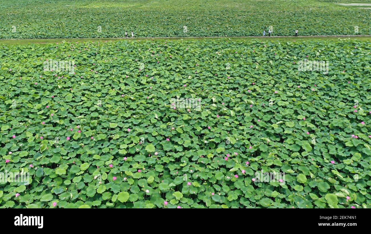 ANLONG, CHINA - JUNE 26, 2020 - Tourists use the Dragon Boat Festival ...