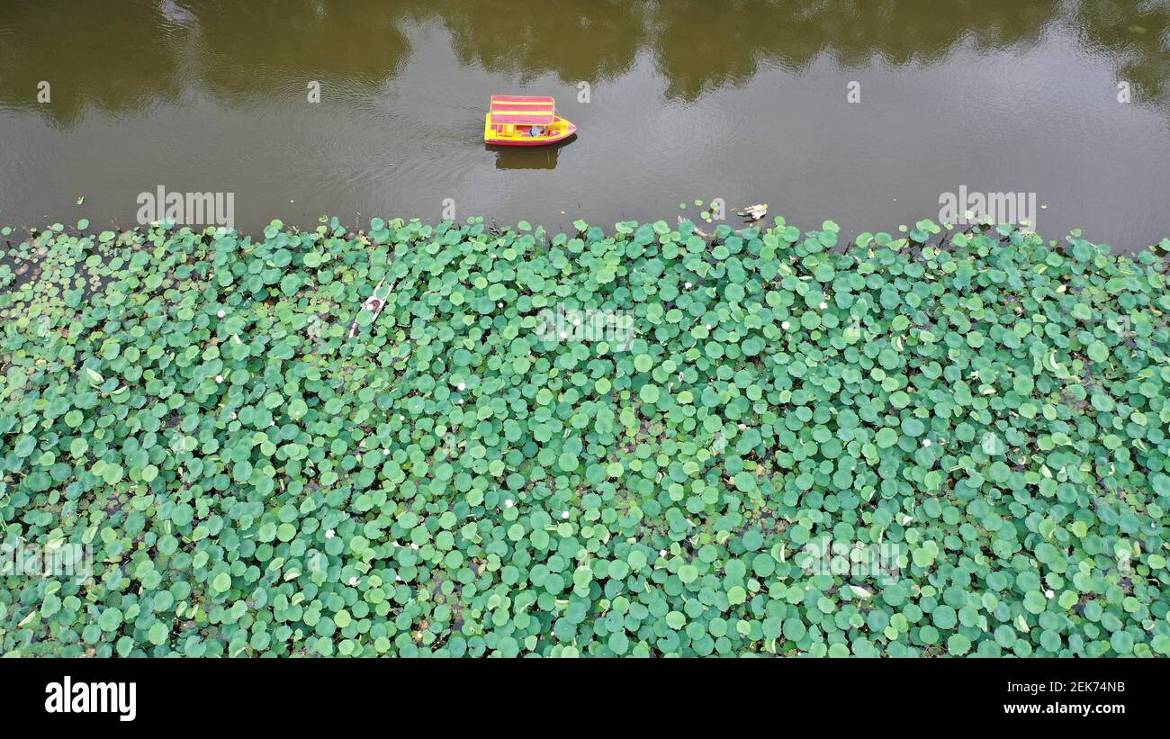 ANLONG, CHINA - JUNE 26, 2020 - Tourists use the Dragon Boat Festival ...