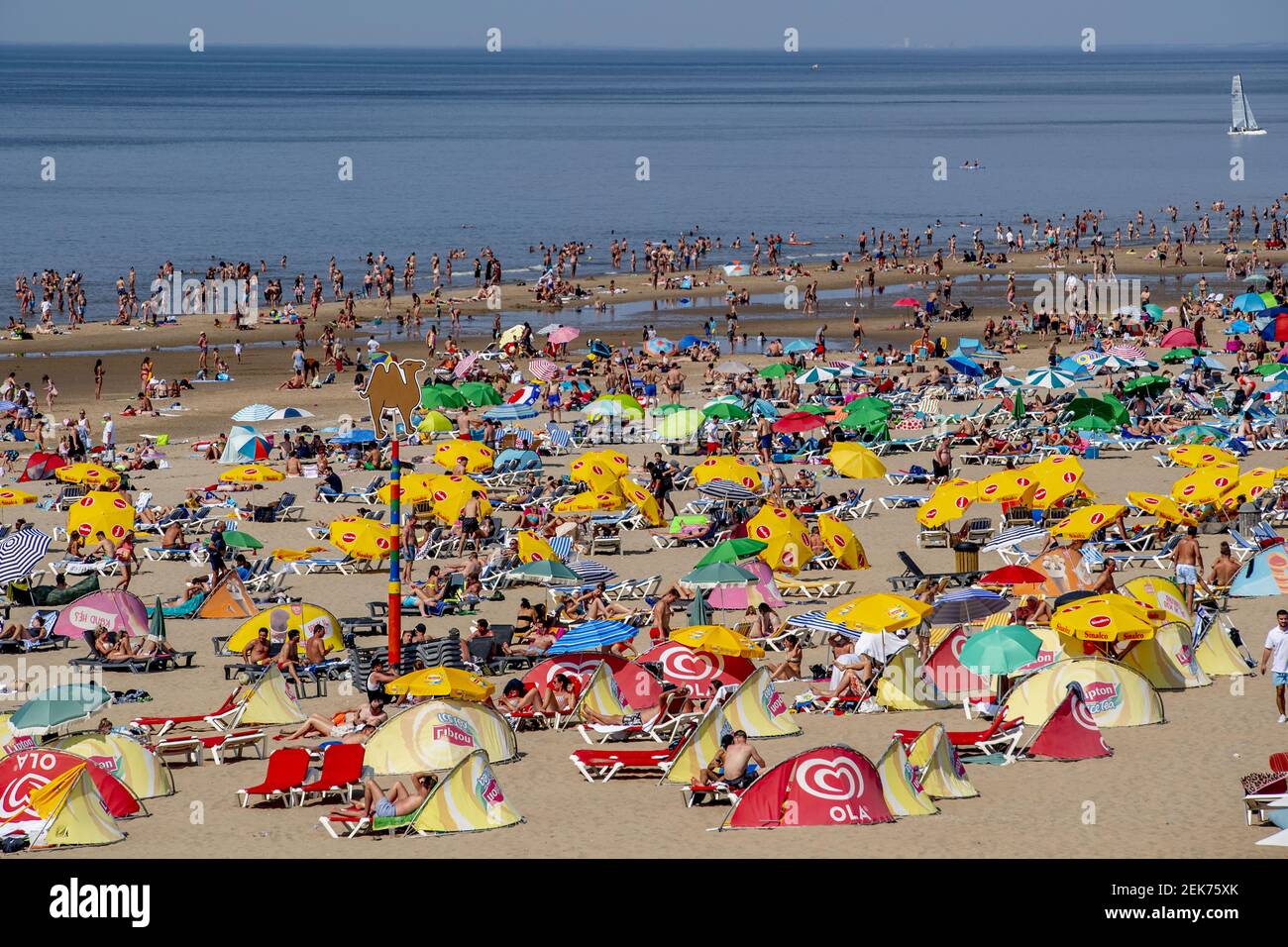 People enjoy the sun and the warm weather during the heat wave at a ...