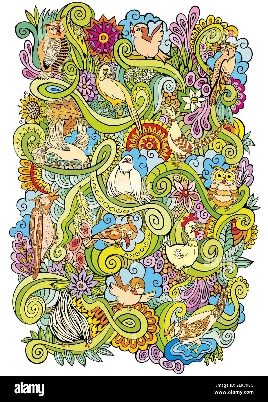 Hand drawn birds garden doodle illustration Stock Photo - Alamy