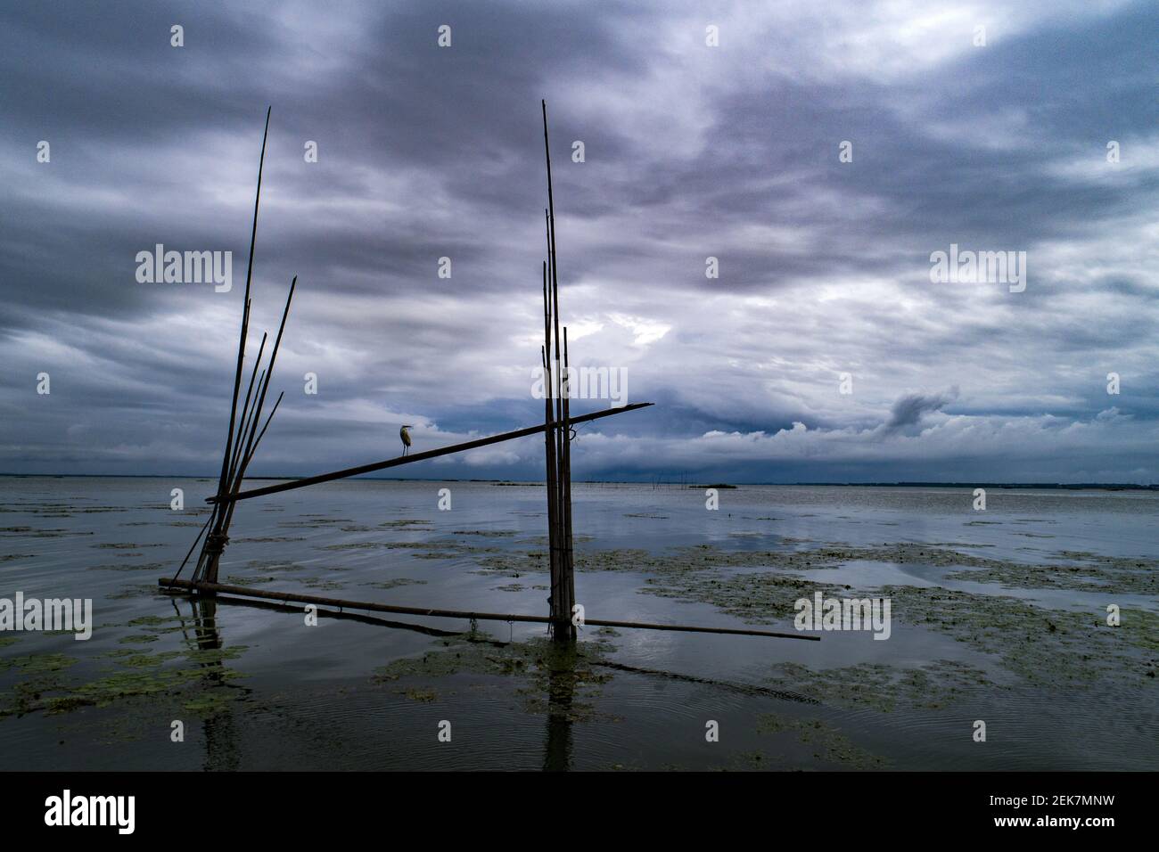 Shijiu lake hi-res stock photography and images - Alamy