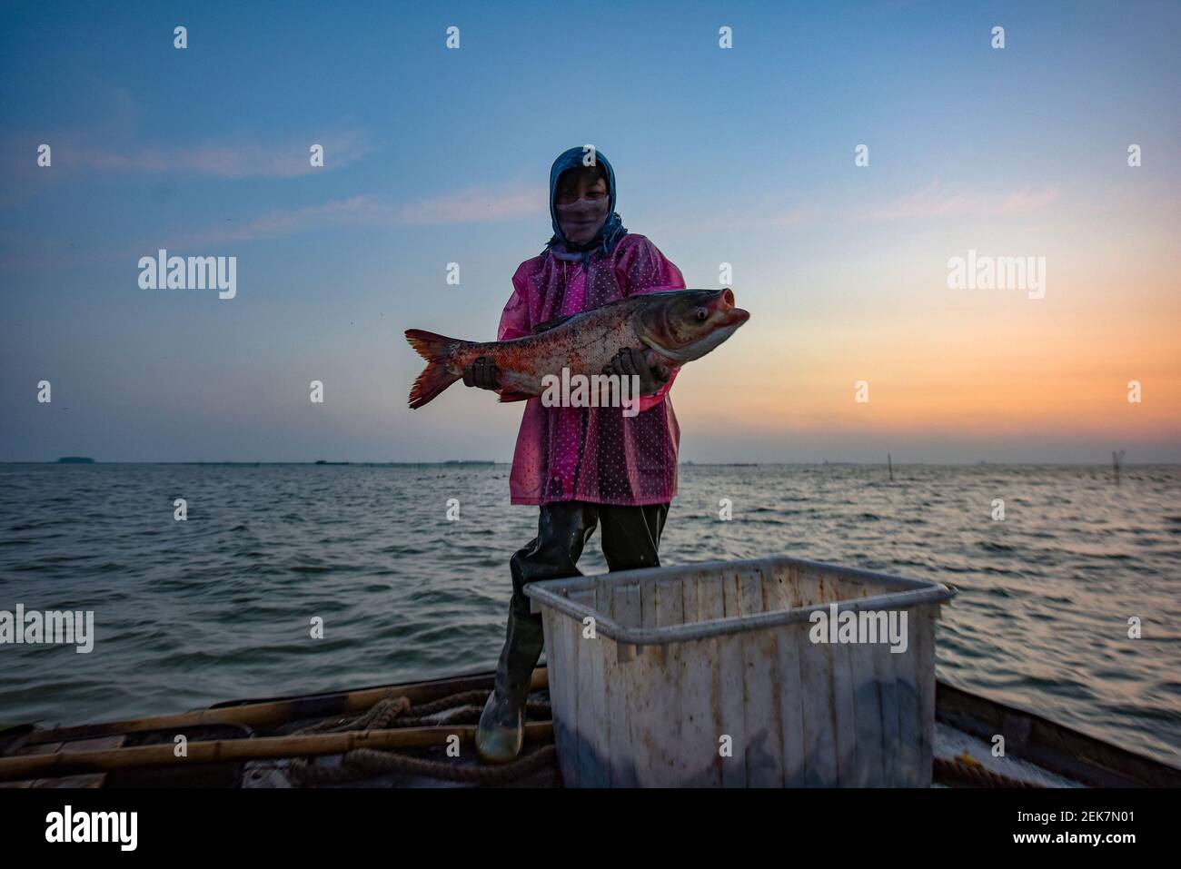 SIQIAN, CHINA - JULY 1, 2020 - A fisherman shows off the big fish he ...