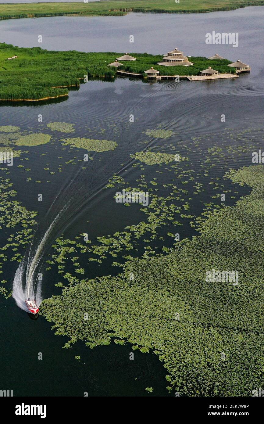 BOZHOU, CHINA - JUNE 27, 2020 - Tourists visit the ten thousand mu wild ...