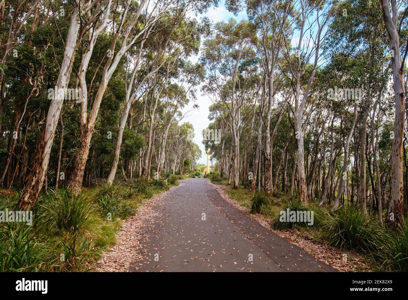 Mount macedon memorial cross hi-res stock photography and images - Alamy