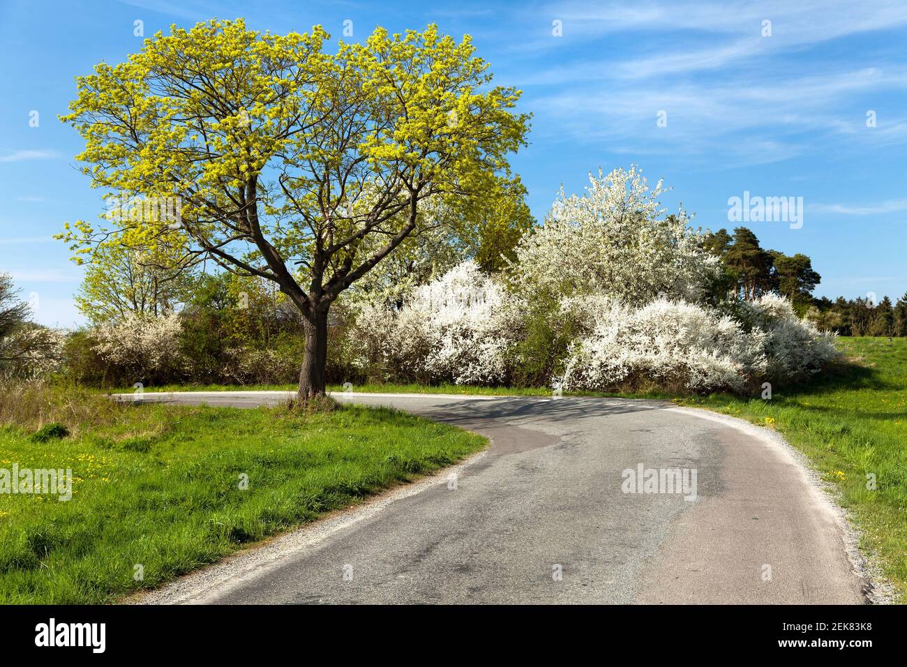 The time of flowering hi-res stock photography and images - Alamy