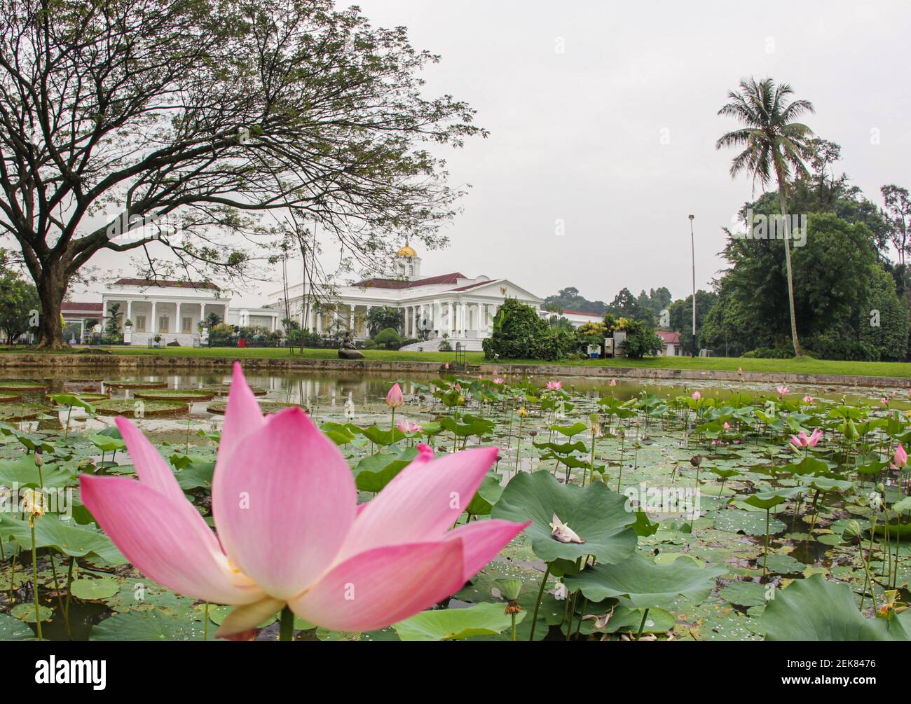 A view Indonesian President Palaces is in Bogor, West Java, in the vast ...