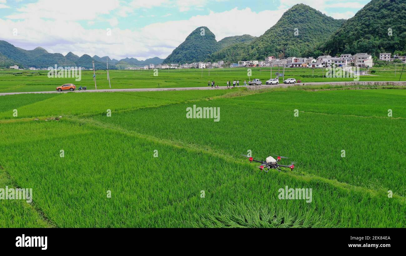 ANLONG, CHINA - JULY 4, 2020 - An agricultural worker operates a plant ...