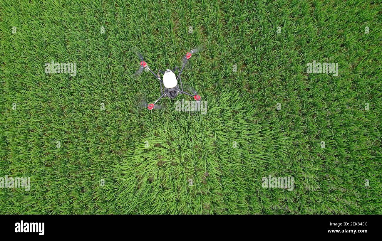 ANLONG, CHINA - JULY 4, 2020 - An agricultural worker operates a plant ...