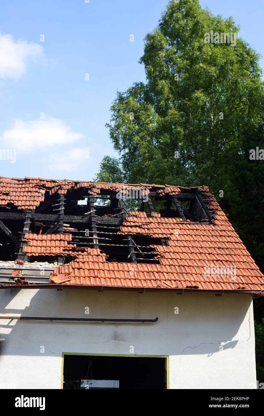 Tree top fire damage hi-res stock photography and images - Alamy