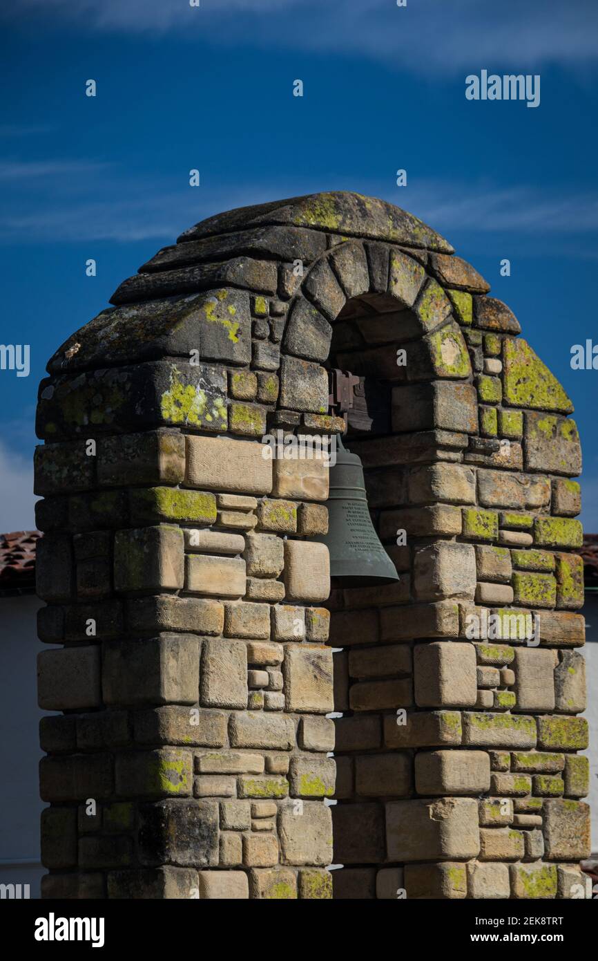 California blue bell hi-res stock photography and images - Alamy