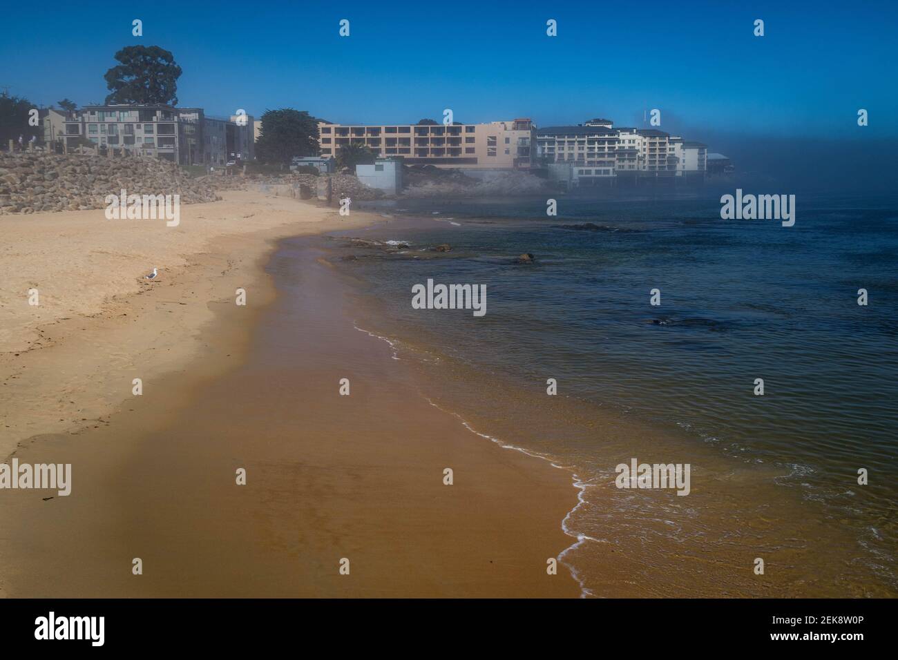 Monterey Beach, California Stock Photo - Alamy