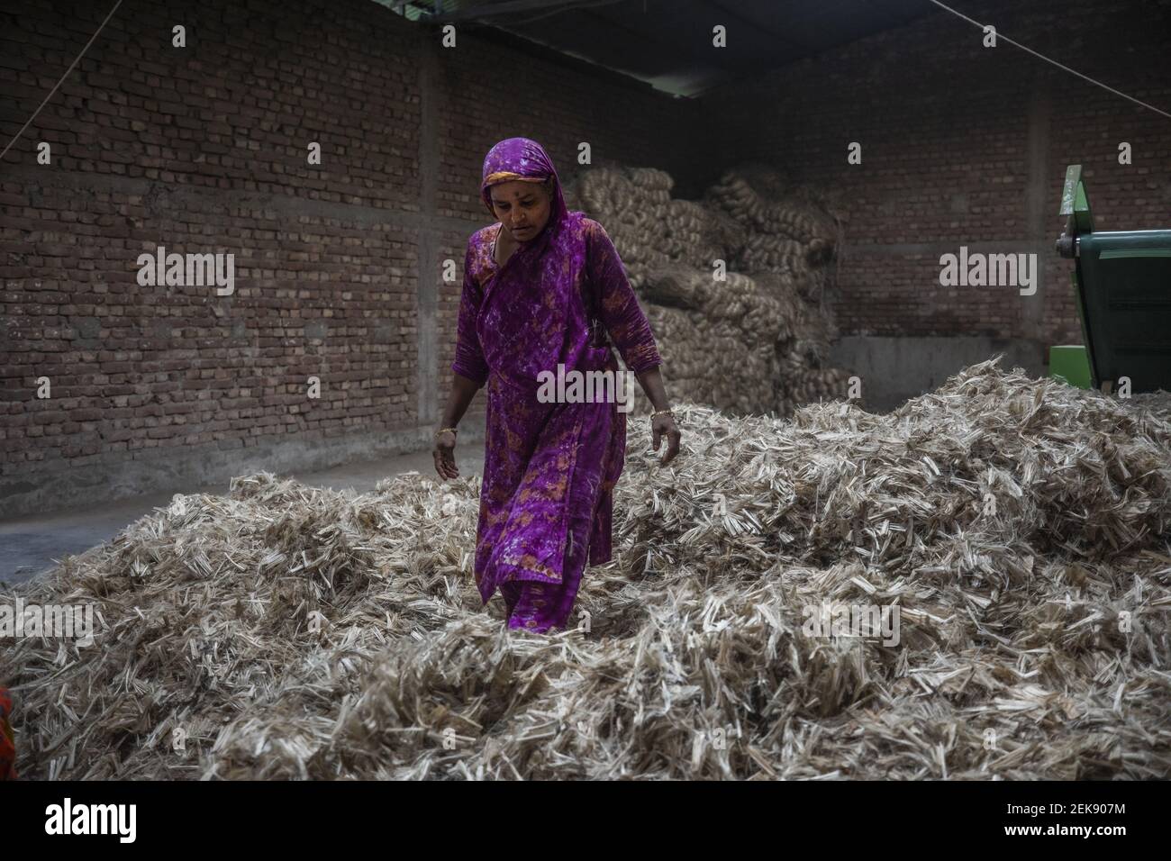 An women works at a jute processing factory in Narayanganj near Dhaka ...