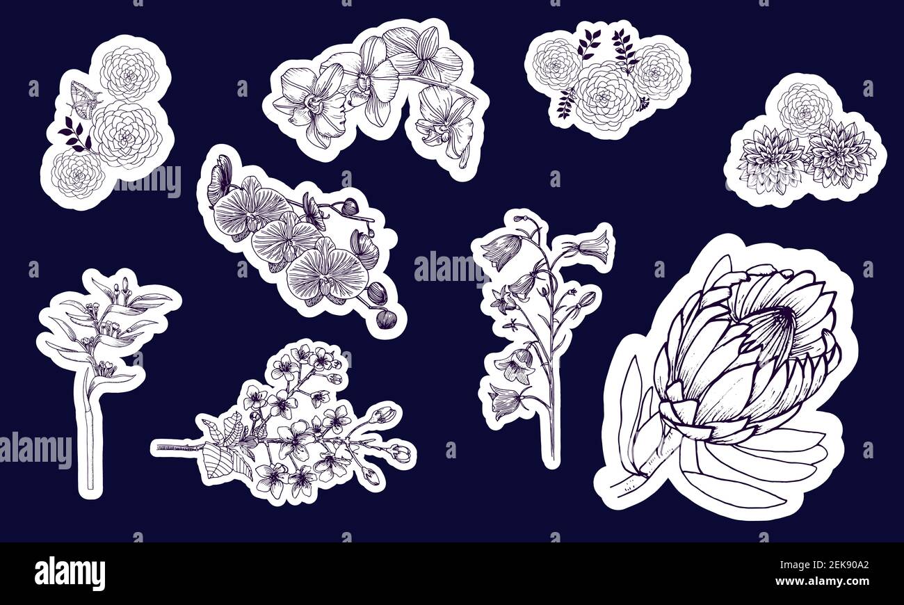 Set of flower stickers. Graphics design, vector Stock Vector Image ...