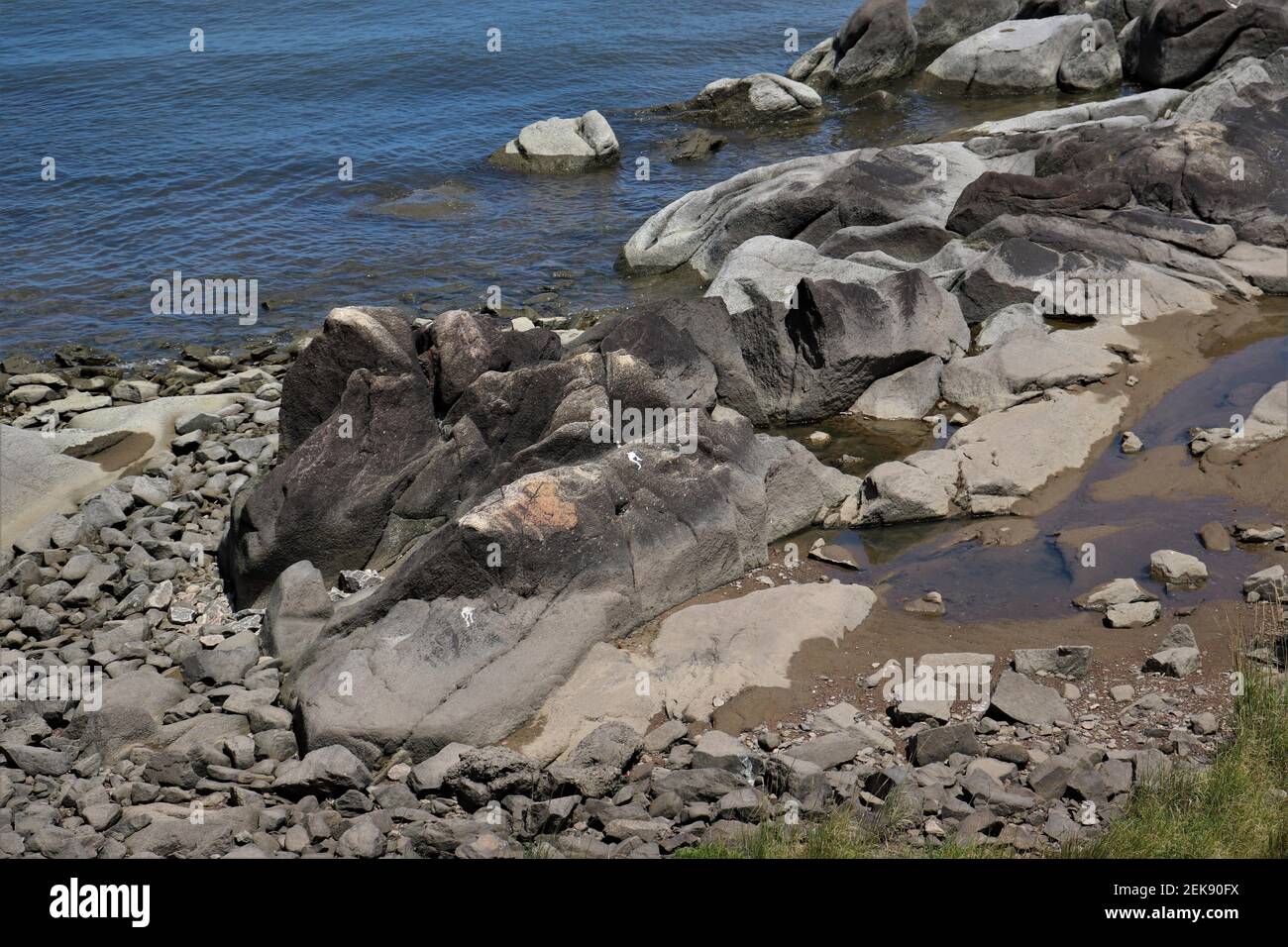 Birds Of Uruguay High Resolution Stock Photography and Images - Alamy