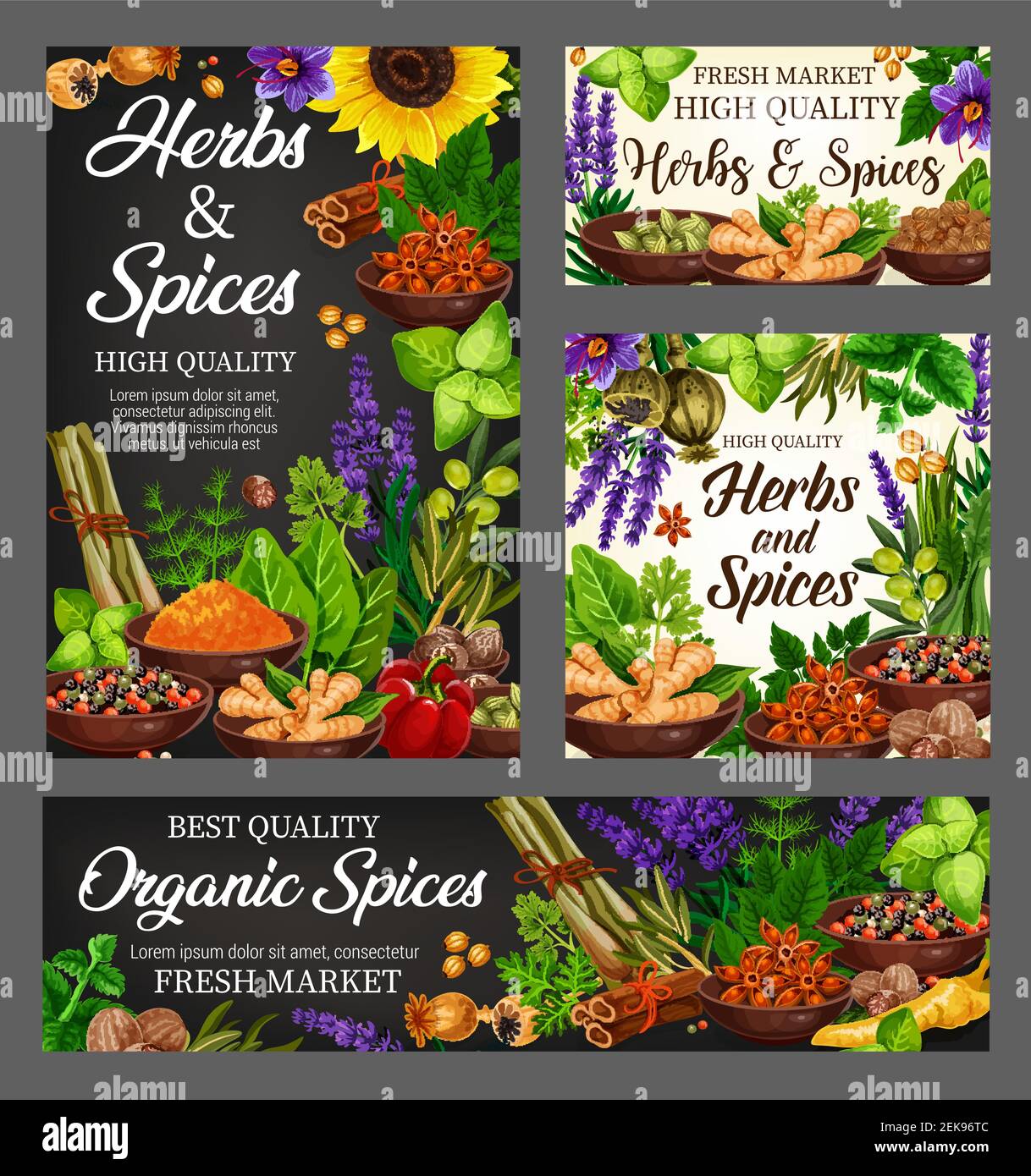 Olive and lavender farm Stock Vector Images - Alamy