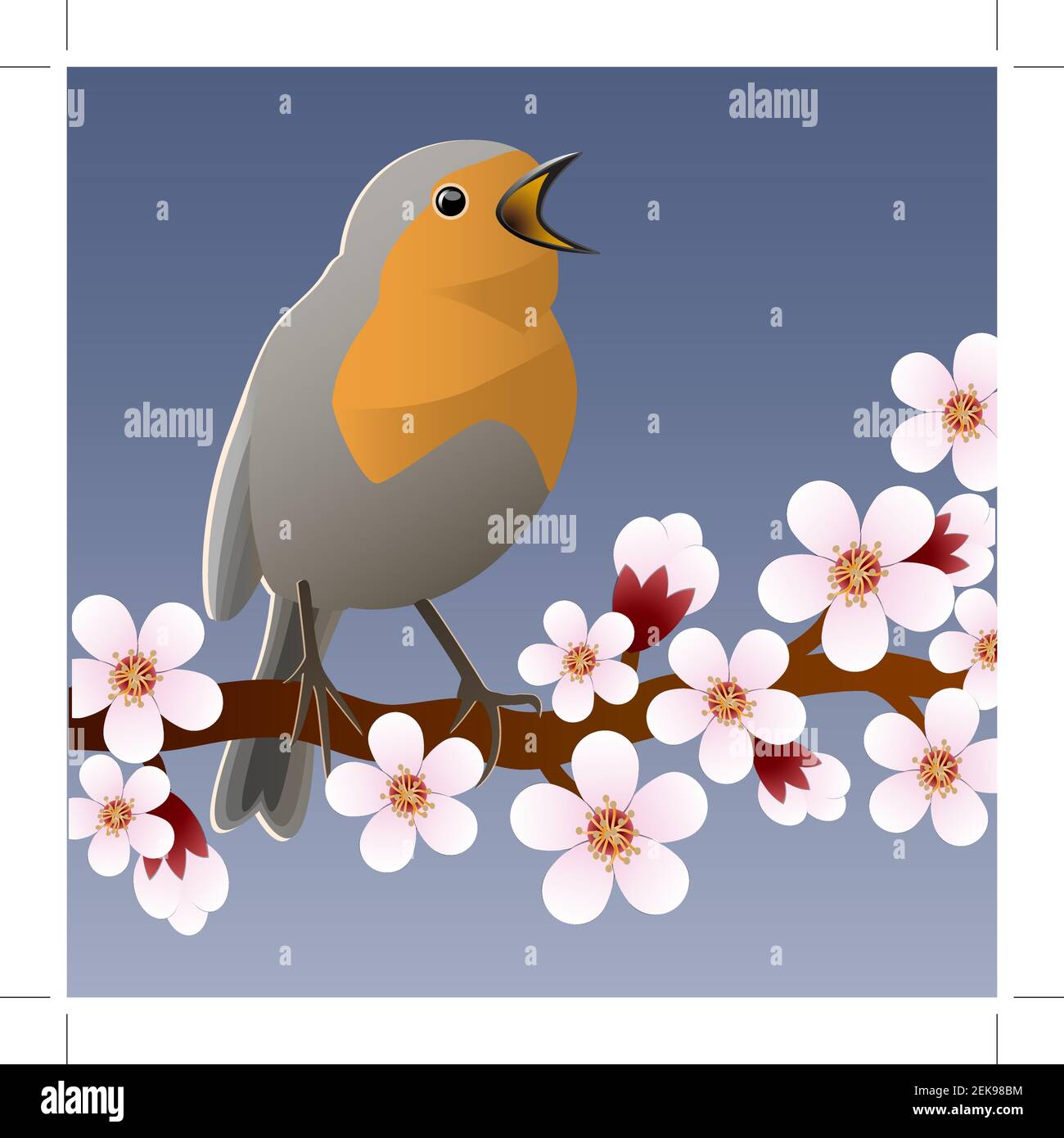 Spring bird sitting on flowering branch. Vector illustrations Stock ...