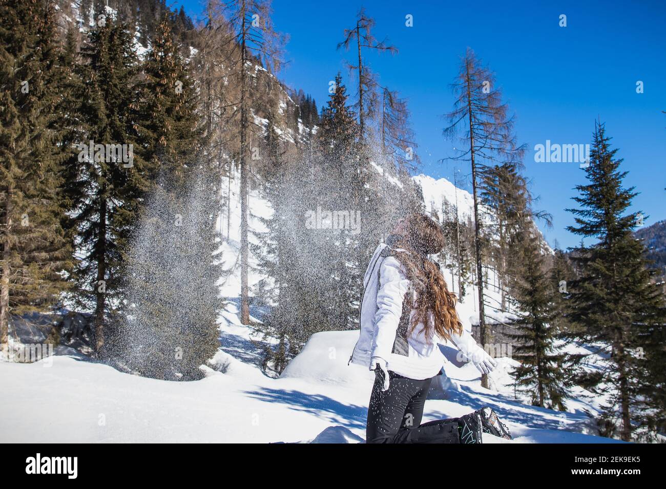 Flying flakes snowfall hi-res stock photography and images - Alamy