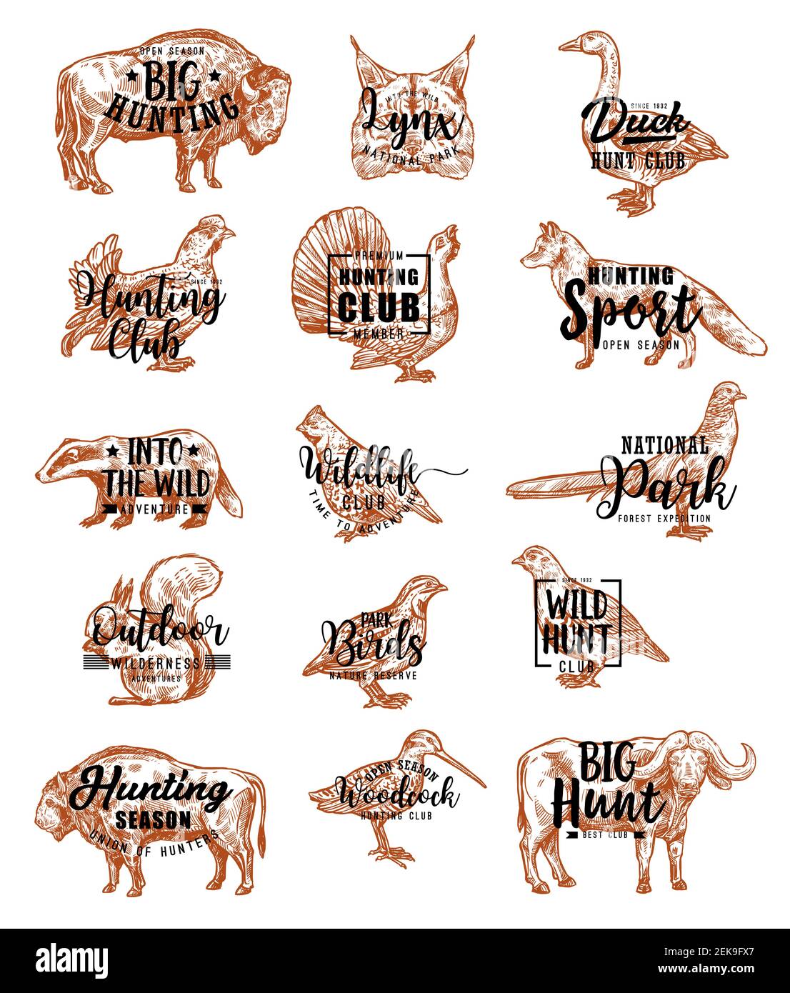 Partridge pigeon Stock Vector Images - Alamy